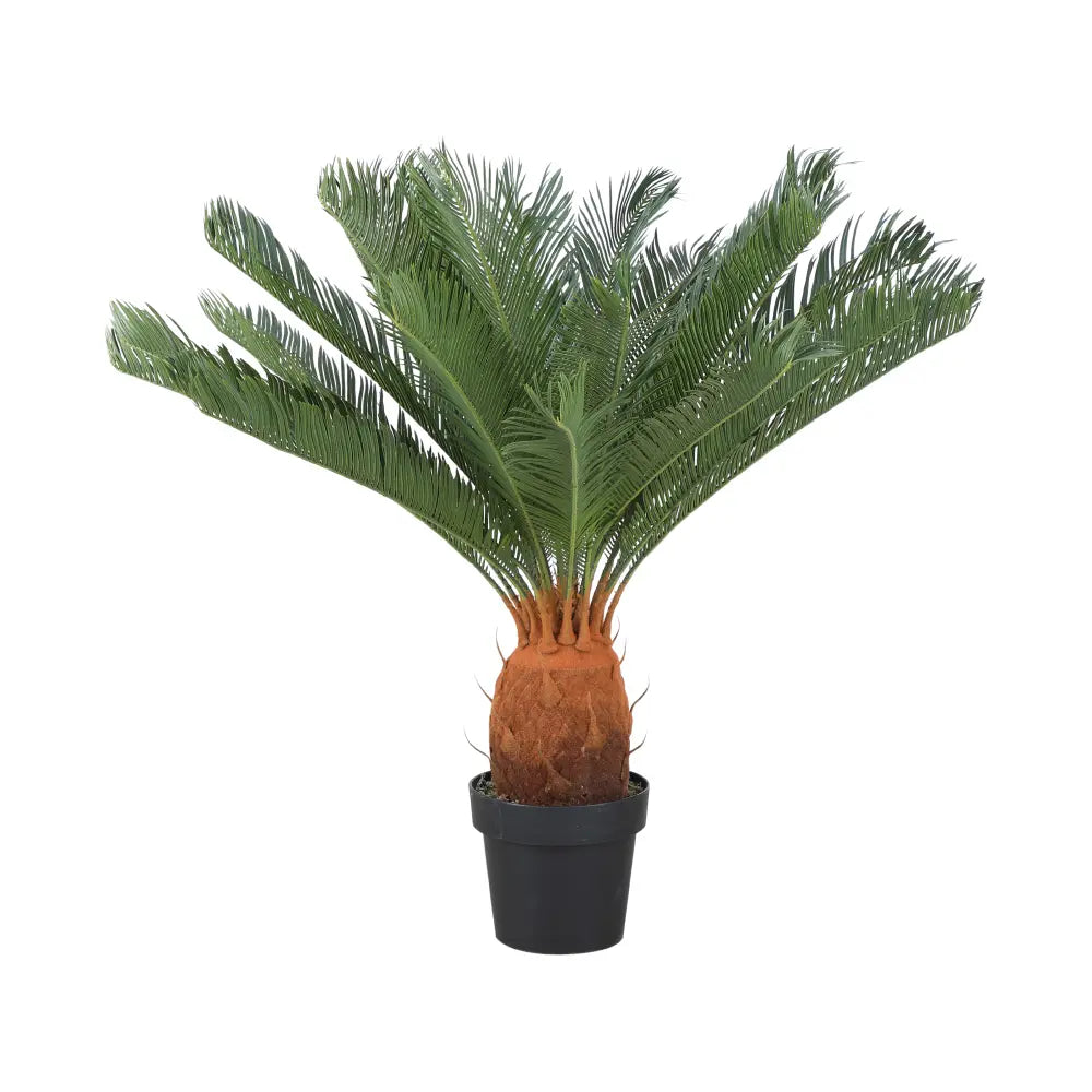 CYCAD Cycas Tree in pot 80 x 80 x 90 cm - Green - Artificial